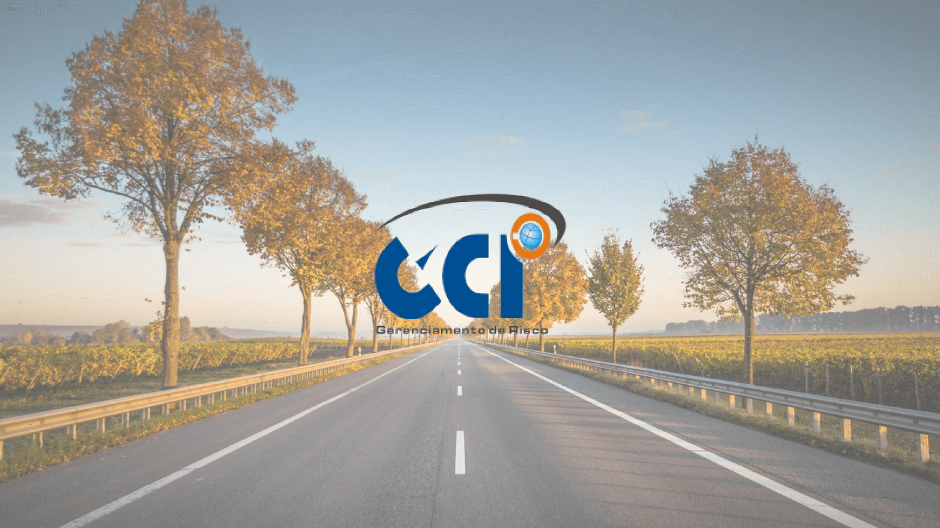 CCI Gerenciamento de Risco